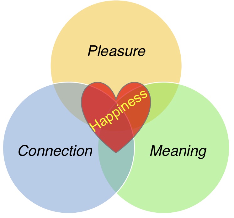 Don’t focus on happiness | Leading For Change